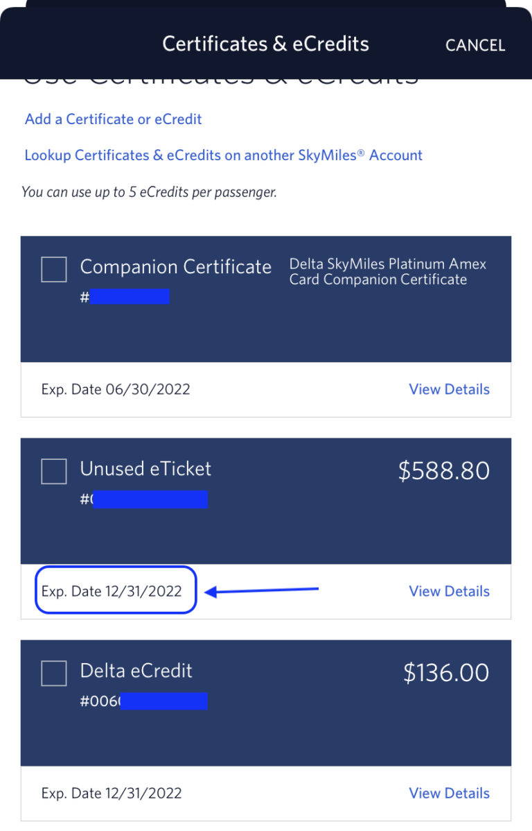 Delta E-Certificates 사용 후기 - Fly with Moxie Travel Blog