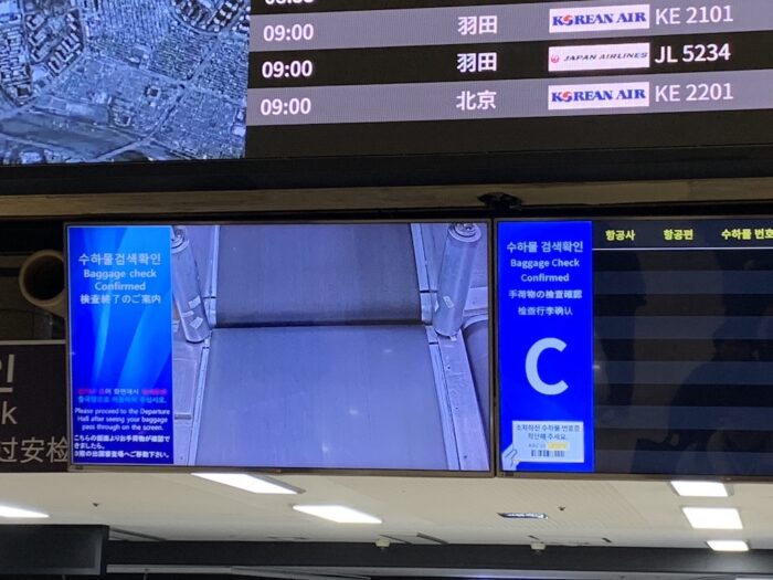 JAL GMP-HND-CTS-HND-GMP Flight Review - Fly with Moxie Travel Blog